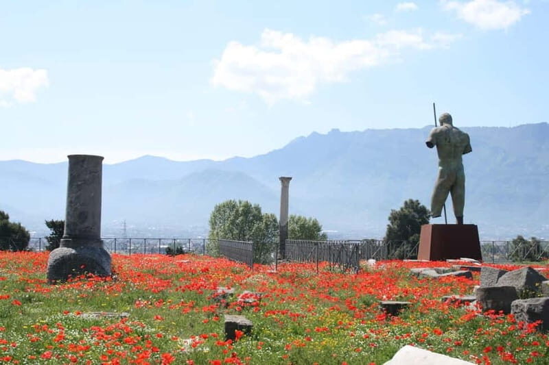 From Naples: Pompeii and Vesuvius by Bus - FAQ