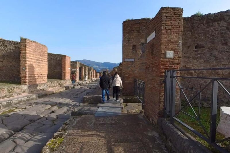 From Naples: Pompeii Guided Tour, Skip-the-Line & Transport - Exploring Pompeii from Naples: An Honest Review of the Guided Tour Experience