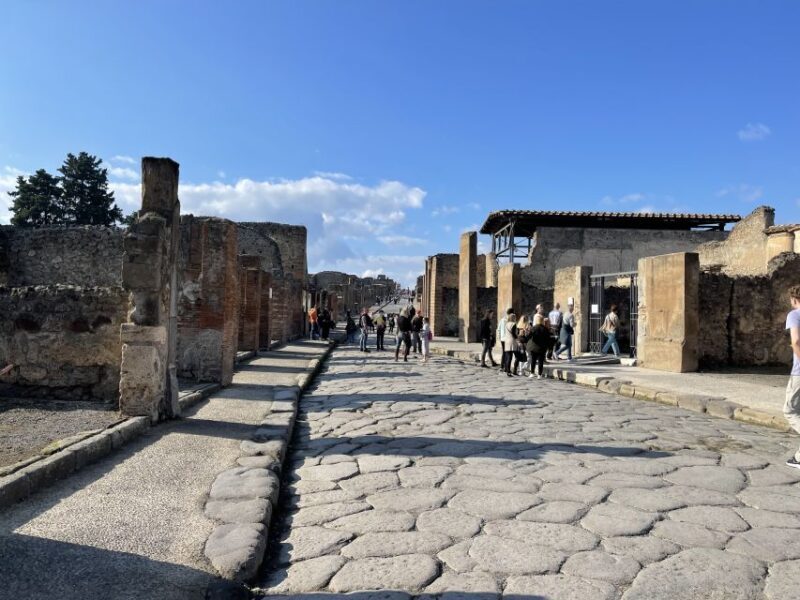 From Naples: Pompeii Guided Tour with Skip-the-Line Tickets - Considerations Before Booking