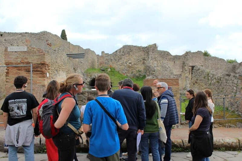From Naples: Pompeii Tour with Guide, Driver & Ticket - Key Points