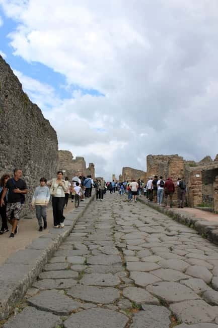 From Naples: Pompeii Tour with Guide, Driver & Ticket - Overview of the Pompeii Tour Experience