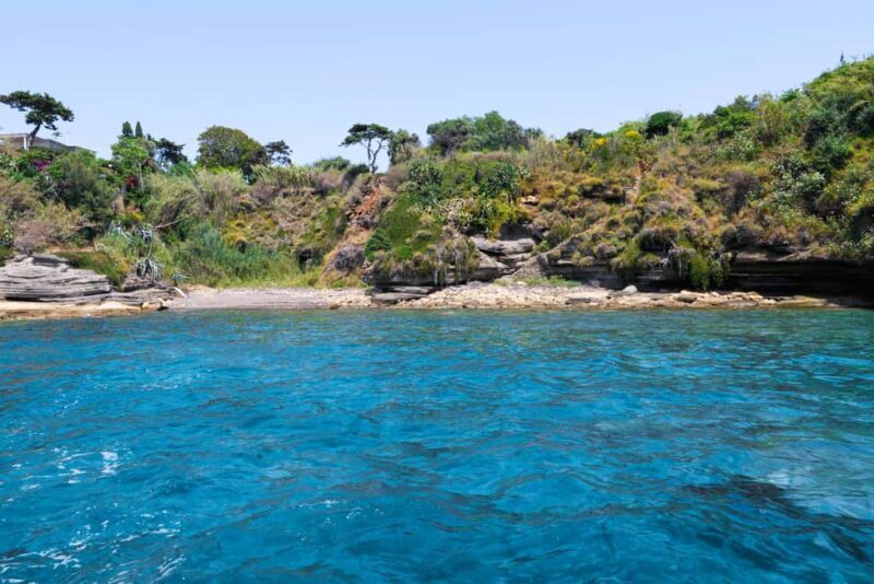 From Naples: Procida Transfer with Island Boat Tour - Free Time and Optional Swim Stops