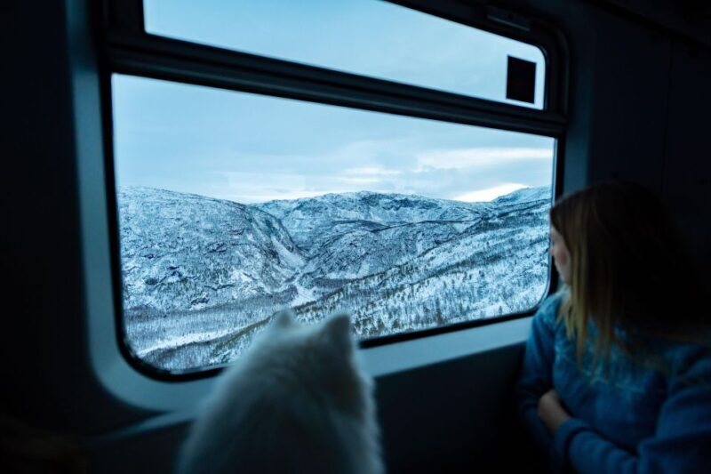 From Narvik: Roundtrip Arctic Train Ride on Ofoten Railway - Real Travelers’ Experiences