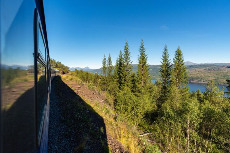 From Narvik: Roundtrip Arctic Train Ride on Ofoten Railway - FAQ