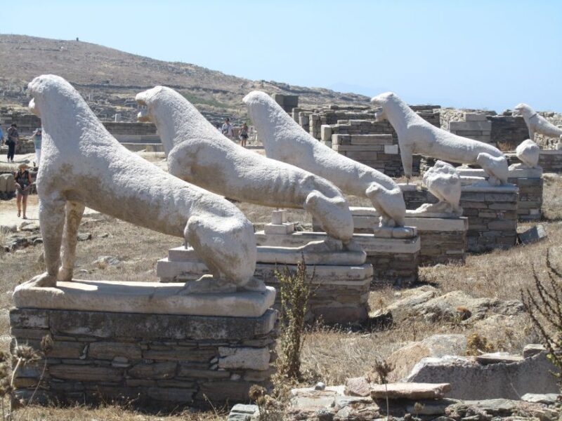 From Naxos: Delos and Mykonos Full-Day Boat Trip - Who Should Consider This Tour?