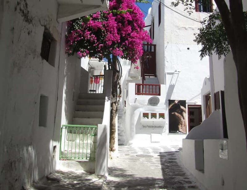 From Naxos: Round day trip to Mykonos Island - Who Should Consider This Tour?