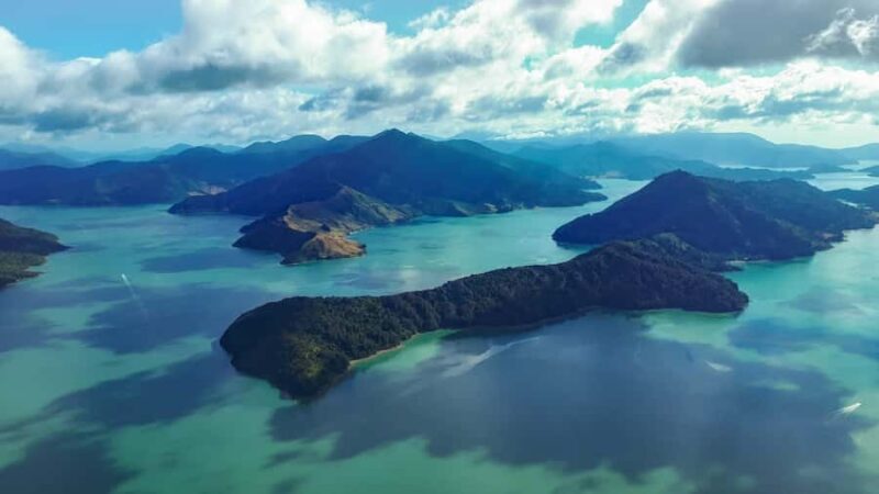 From Nelson: Marlborough Sounds Scenic Helicopter Flight - What Makes This Tour Stand Out
