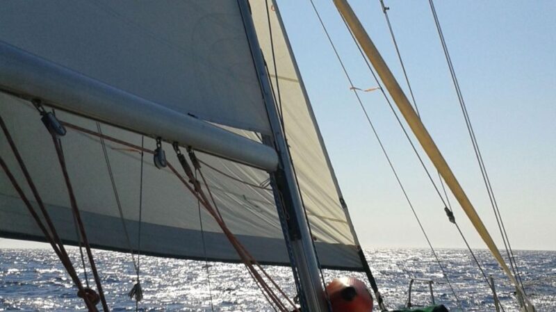 From Neos Marmaras: Halkidiki Islets and Coves Cruise - The Sum Up