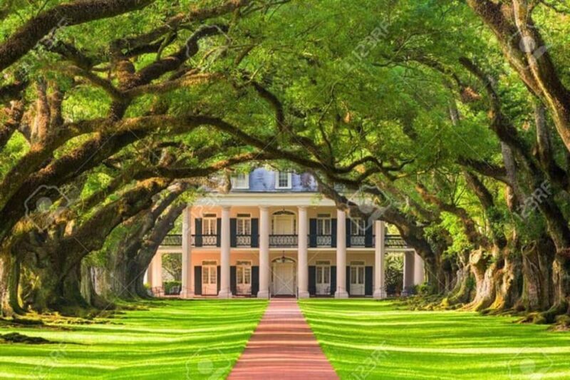 From New Orleans: Oak Alley and Laura Plantation Guided Tour - An In-Depth Look at the Tour Experience