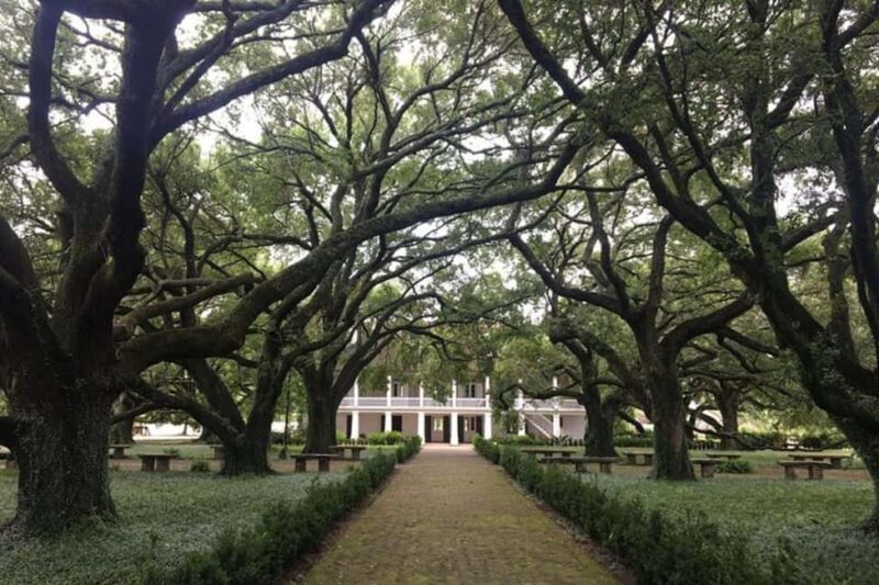 From New Orleans: Oak Alley and Laura Plantation Guided Tour - Who Is This Tour Best For?