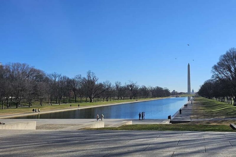 From New York or New Jersey: Washington, D.C. Day Trip - Authentic Experiences and Traveler Insights