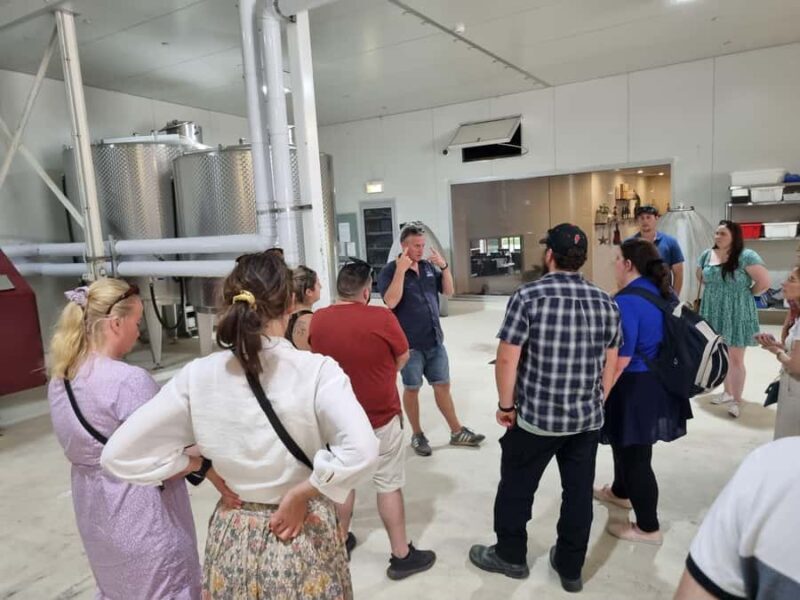 From Newcastle: Hunter Valley Beer & Wine Group Tour - An Honest Look at the Hunter Valley Beer & Wine Group Tour from Newcastle