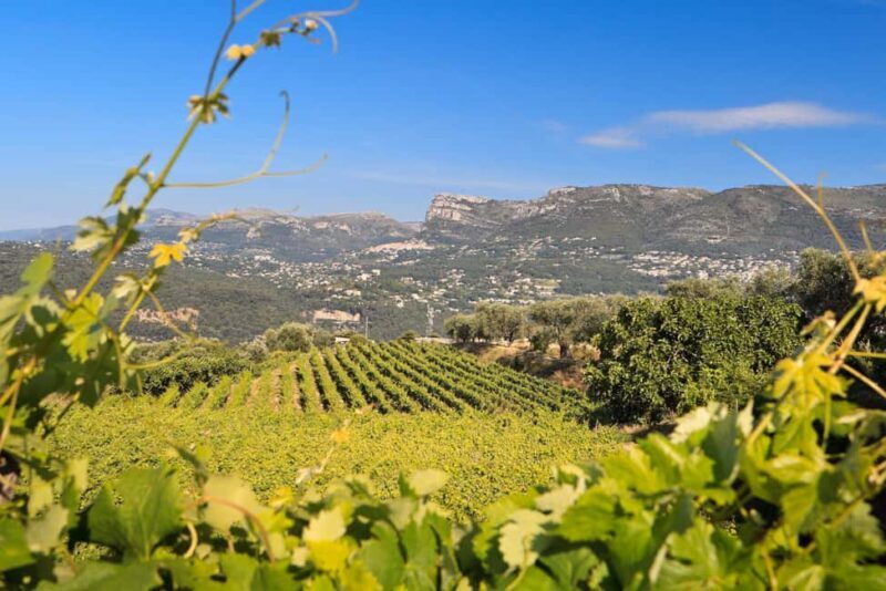 From Nice: Half-Day Wine Tour in the Bellet Wine Region - FAQs