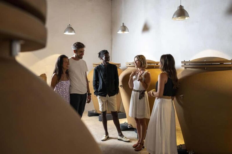 From Nice: Provence Wine Full-Day Tour - Introduction