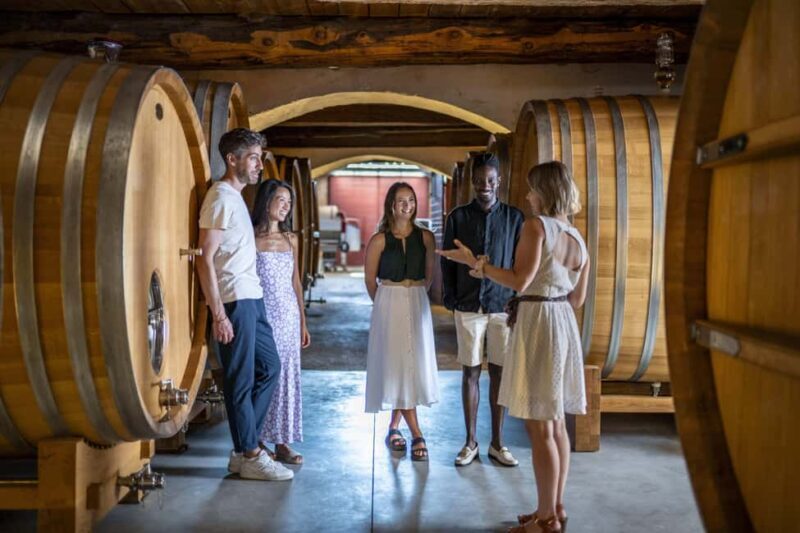 From Nice: Provence Wine Full-Day Tour - Transportation, Group Size, and Pacing