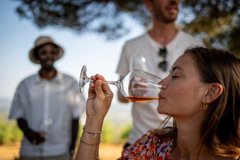 From Nice: Provence Wine Full-Day Tour - FAQ