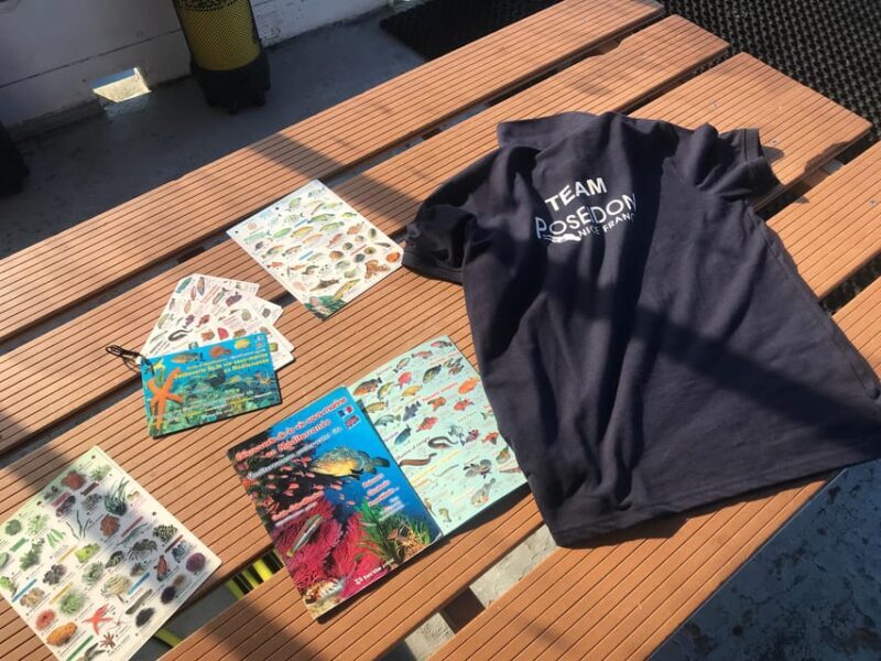 From Nice: Villefranche Bay Swimming & Snorkeling Boat Tour - FAQs