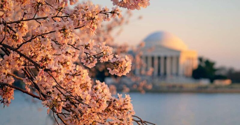 From NYC: Niagara Falls, Washington DC and Boston 4-Day Trip - Key Points