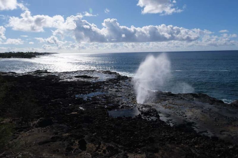 From Oahu: Kauai Waimea Canyon and Koke'e Adventure Tour - Key Points