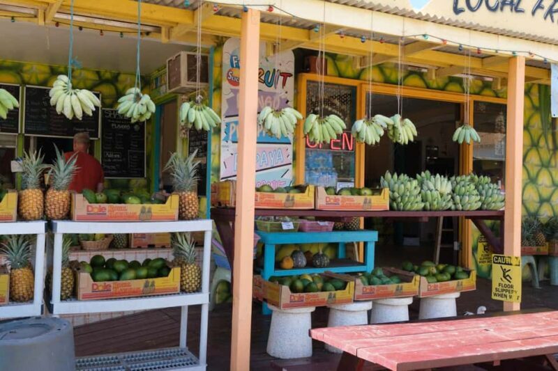 From Oahu: Kauai Waimea Canyon and Koke'e Adventure Tour - Final Thoughts