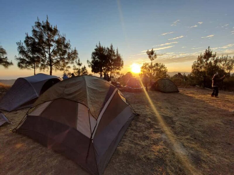 From Oaxaca: Apoala Magic Waterfalls Hike & Swim Adventure - An In-Depth Look at the Apoala Waterfalls Experience