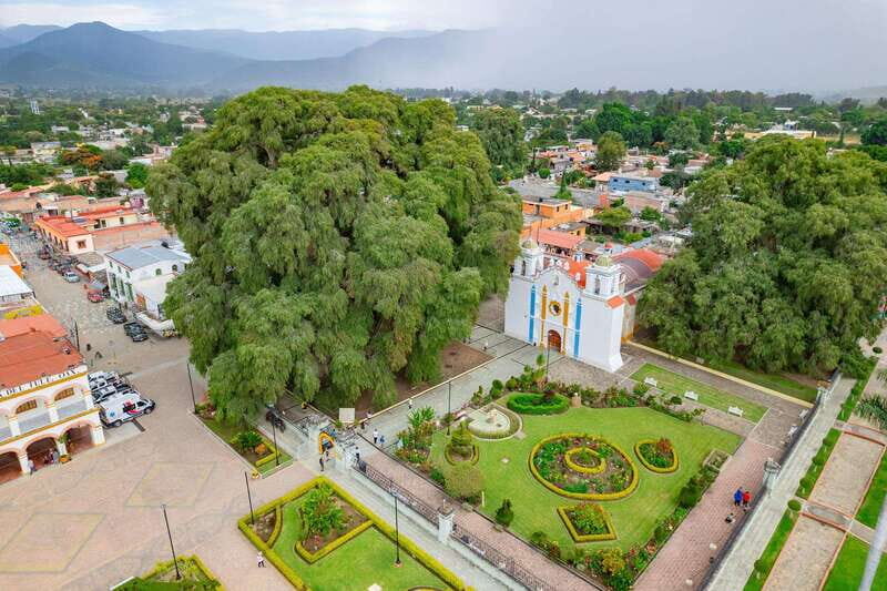 From Oaxaca: City, Mitla, and Mezcal Factory Tour - A Closer Look at the Tour Itinerary