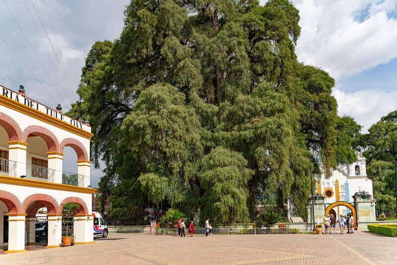 From Oaxaca: City, Mitla, and Mezcal Factory Tour - Authentic Experiences and Cultural Insights