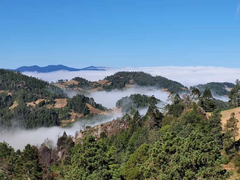 From Oaxaca: Sierra Norte Hike & Indigenous Village Full-Day - Exploring the Sierra Norte: What makes this tour special?