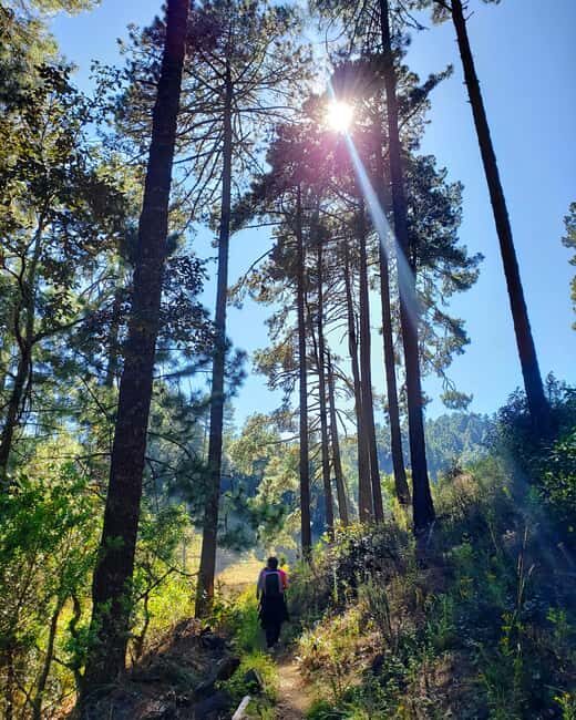 From Oaxaca: Sierra Norte Hike & Indigenous Village Full-Day - Final Thoughts