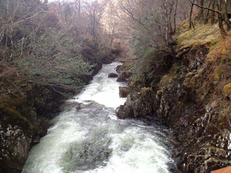 From Oban Glencoe and Castles Tour - A Deep Dive into the Tour Experience
