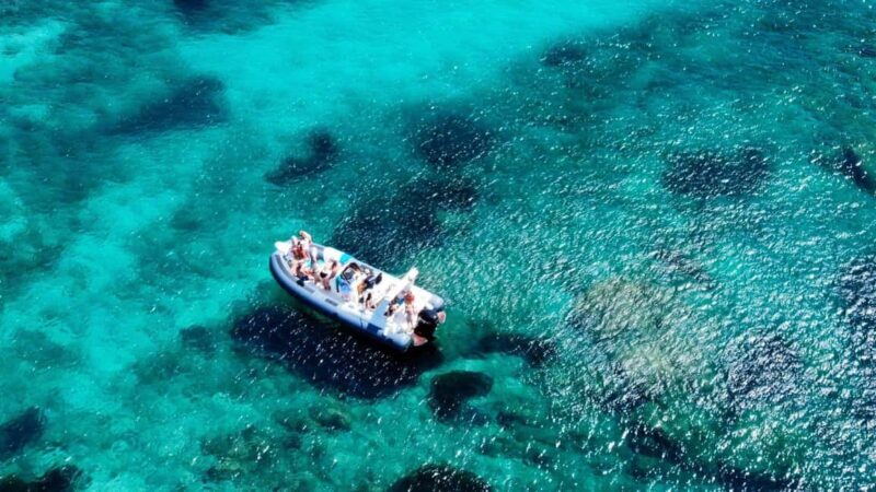 From Olbia: Dinghy Tour with Snorkeling to Tavolara Island - Practical Details and What You Need to Know