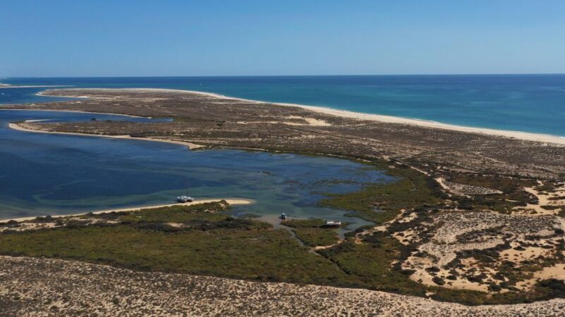 From Olhão: Ria Formosa 3-Island Full-Day Tour - FAQ