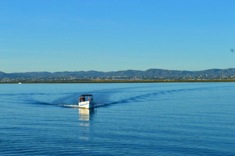 From Olhão: Ria Formosa 3-Island Full-Day Tour with Sunset - Who Will Enjoy This Tour?