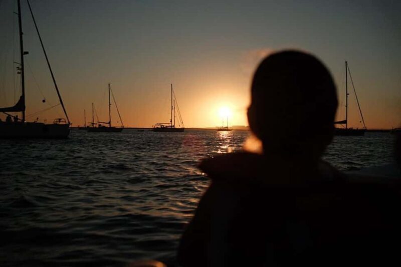 From Olhão: Ria Formosa Sunset Island Boat Tour - An In-Depth Look at the Ria Formosa Sunset Island Boat Tour