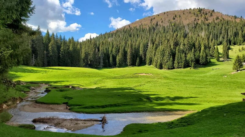 From Oradea: Apuseni Mountains Guided Hiking Tour - Why this tour stands out