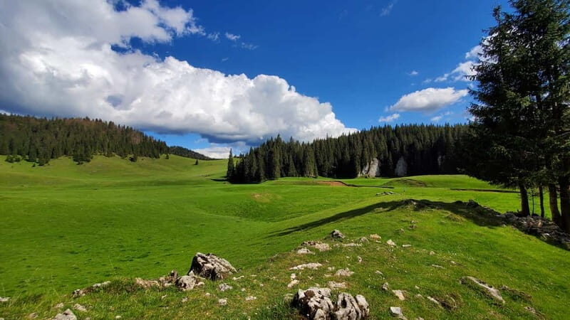 From Oradea: Apuseni Mountains Guided Hiking Tour - What you’ll see and do