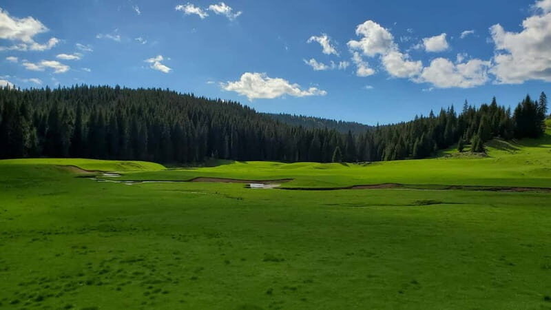 From Oradea: Apuseni Mountains Guided Hiking Tour - The value of this experience