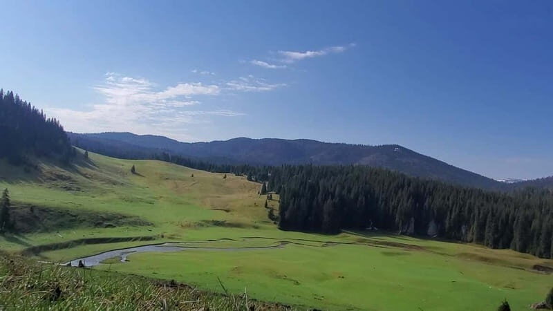 From Oradea: Apuseni Mountains Guided Hiking Tour - The Sum Up