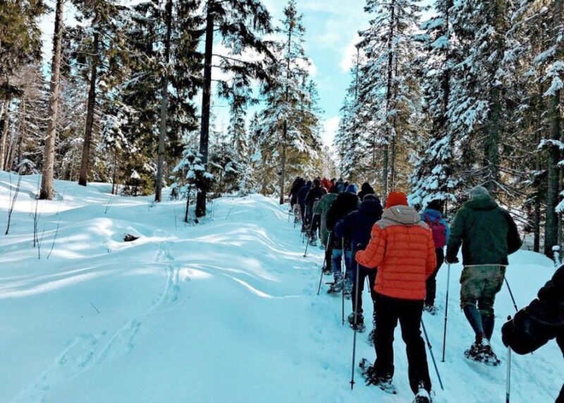 From Oslo: Oslomarka Forest Guided Snowshoeing Tour - The Full Experience: What You Can Expect