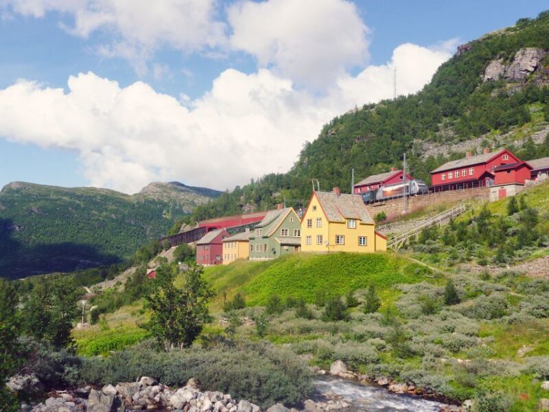 From Oslo: Private Round-Trip Tour to Sognefjord via Flåm - Overview of the Journey from Oslo to Sognefjord