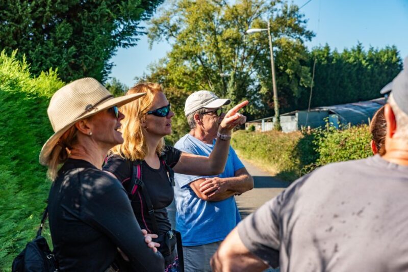 From Oviedo: Half-Day Camino de Santiago Hike - Who Should Consider This Tour?