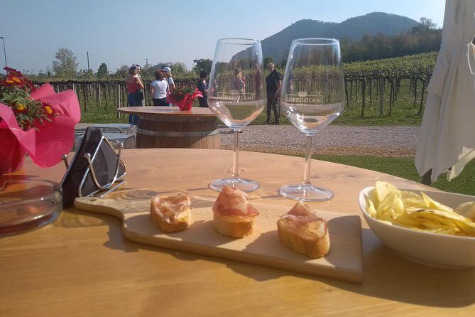 From Padua: Olive Oil & Wine in the Euganean Hills - Key Points