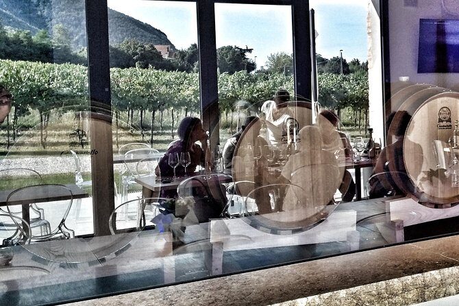 From Padua: Olive Oil & Wine in the Euganean Hills - What the Reviews Reveal