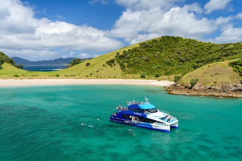 From Paihia: Full-Day Bay of Islands Cruise - Authentic Insights from Reviewers