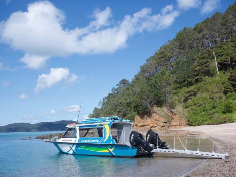 From Paihia: Hole in the Rock Cruise & Island Tour: 3 Hour - Who Should Take This Tour?