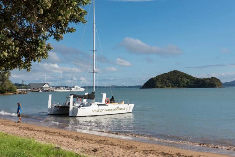 From Paihia: Island-Hopper Sailing Cruise with Picnic Lunch - Practical Details: What You Need to Know