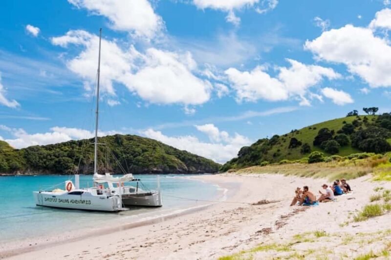 From Paihia: Island-Hopper Sailing Cruise with Picnic Lunch - Who Will Love This Tour?
