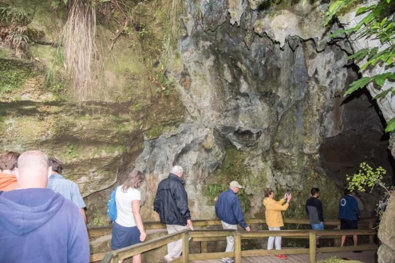 From Paihia: Kawiti Glowworm Caves Guided Tour - Final Thoughts: Why This Tour Is a Great Choice