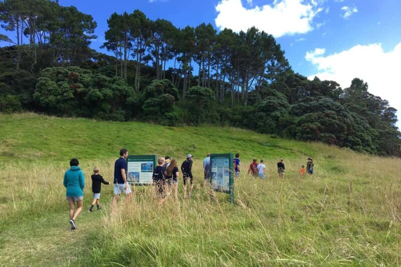 From Paihia: Scenic Cruise with Roberton Island Stopover - Introduction: A Scenic Sojourn in the Bay of Islands