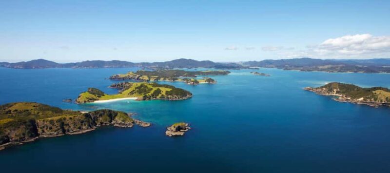 From Paihia: Scenic Cruise with Roberton Island Stopover - Wildlife Encounters: Dolphins, Penguins, and More